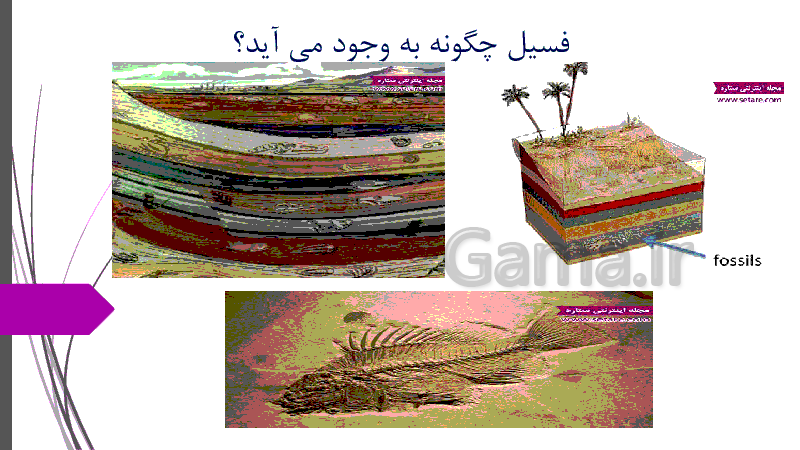 پاورپوینت علوم تجربی پنجم دبستان فسیل چگونه به وجود میآید؟ گاما
