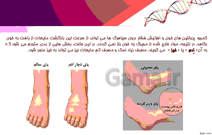 پاورپوینت زیست شناسی پایۀ دهم رشتۀ تجربی فصل 4 گردش مواد در بدن گاما