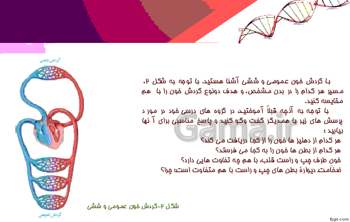 پاورپوینت زیست شناسی پایۀ دهم رشتۀ تجربی فصل 4 گردش مواد در بدن گاما
