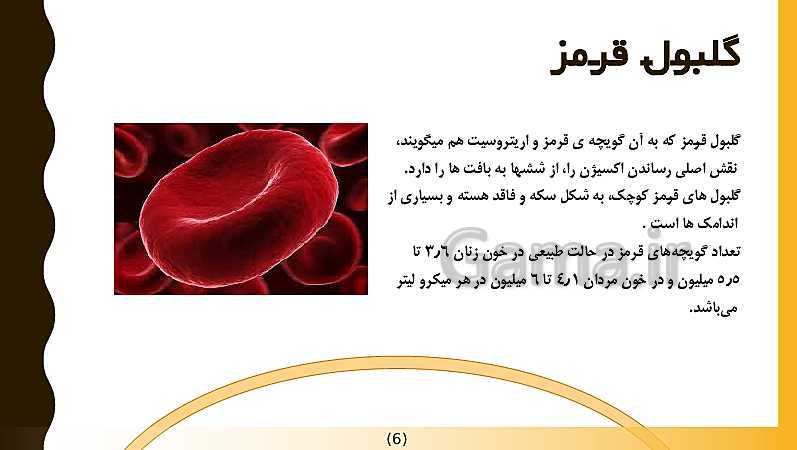 پاورپوینت کنفرانس علوم تجربی هفتم نقش دستگاه گردش خون در بدن انسان گاما